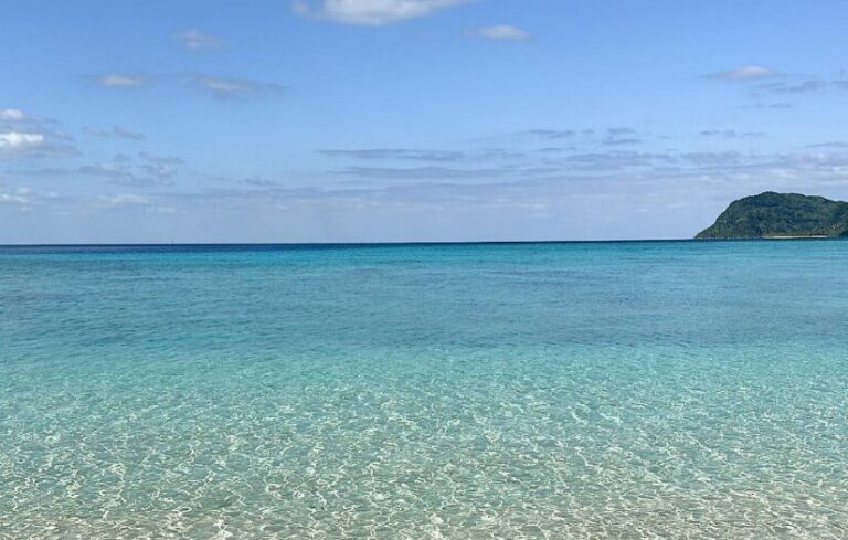 about SEALLY. | SEALLY.