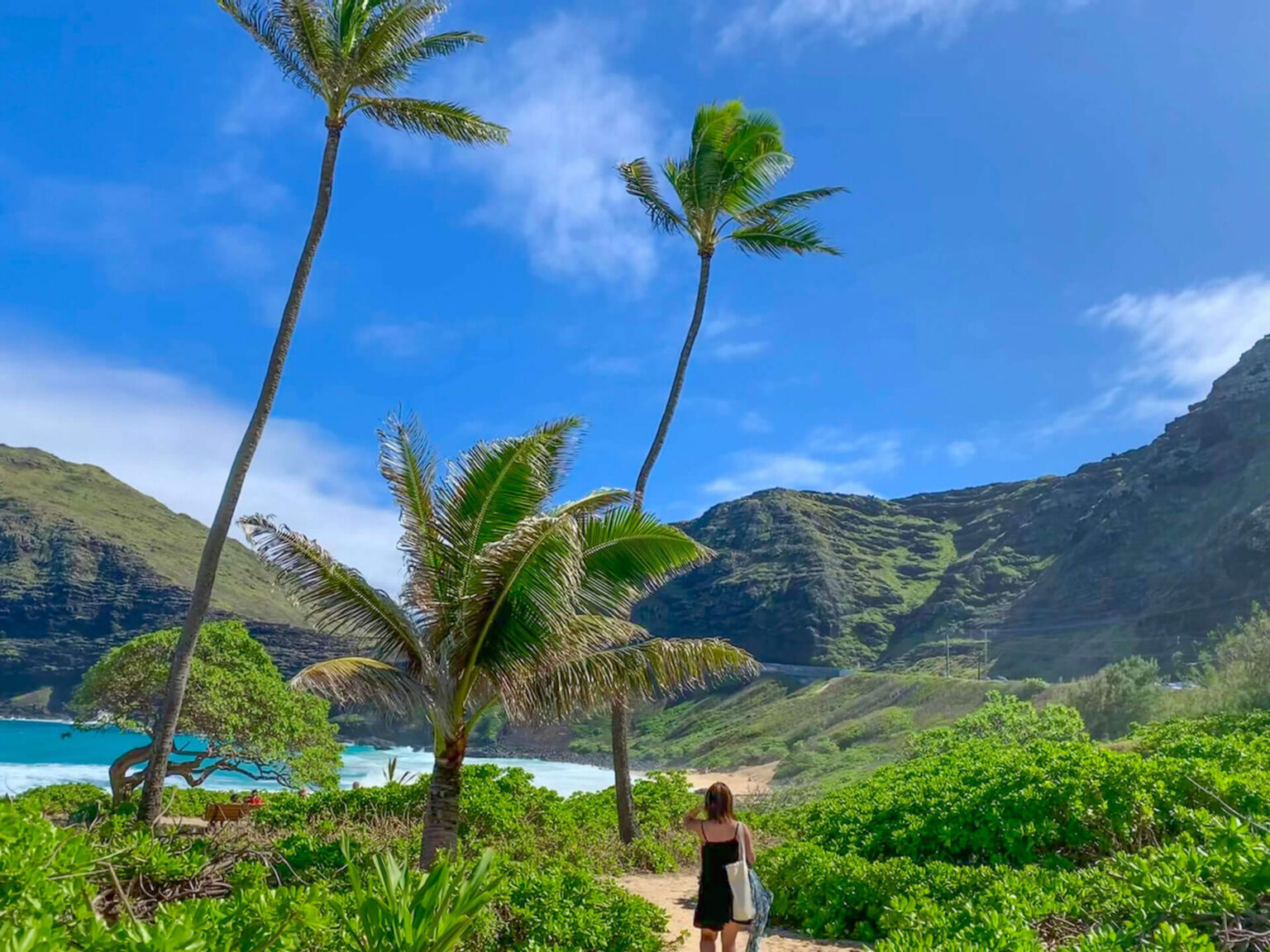 about SEALLY. | SEALLY.